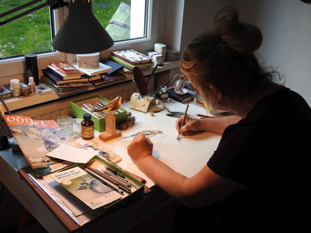 Vogelmalereien Andrea Ritter